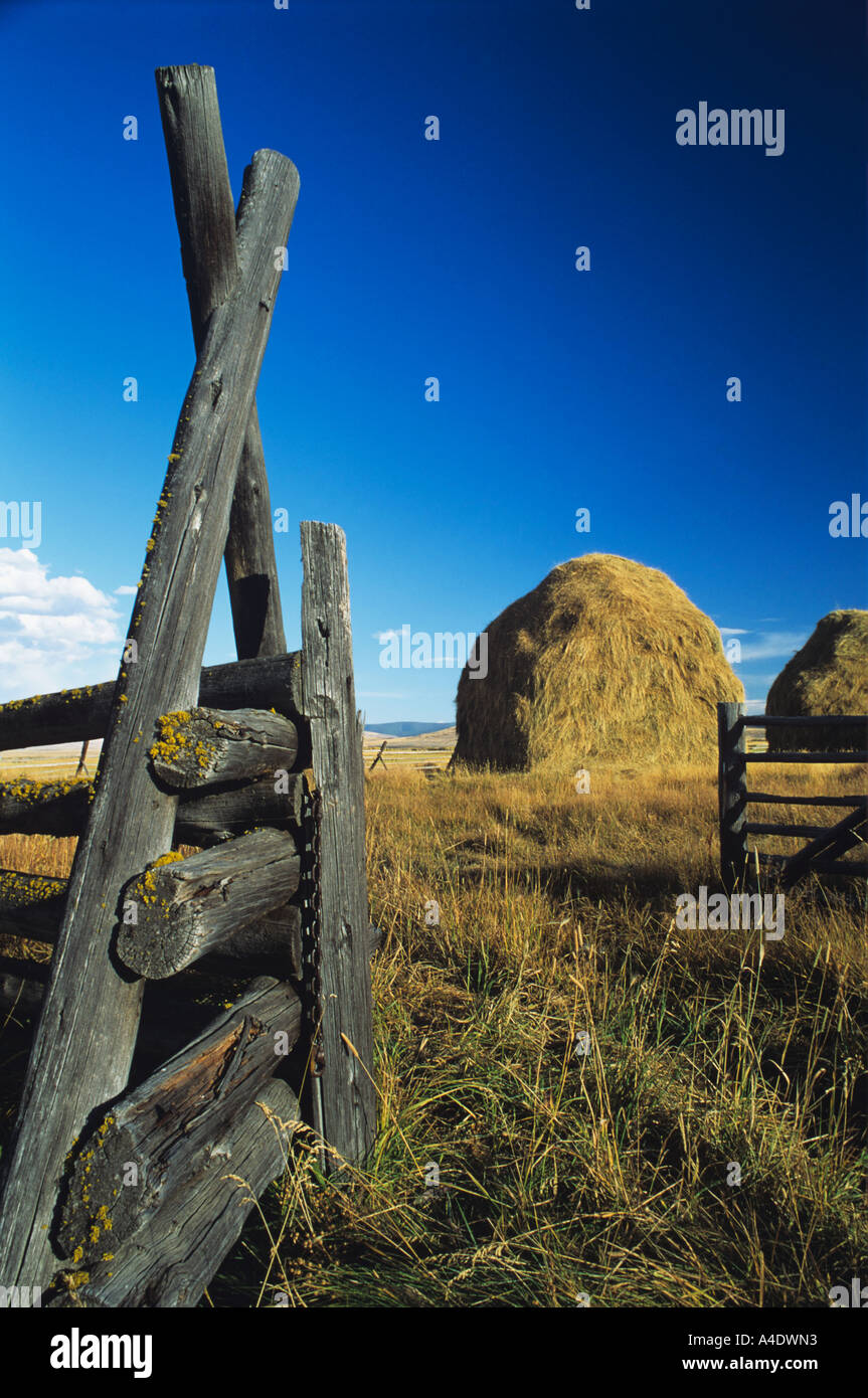 Big hole valley montana hi-res stock photography and images - Alamy