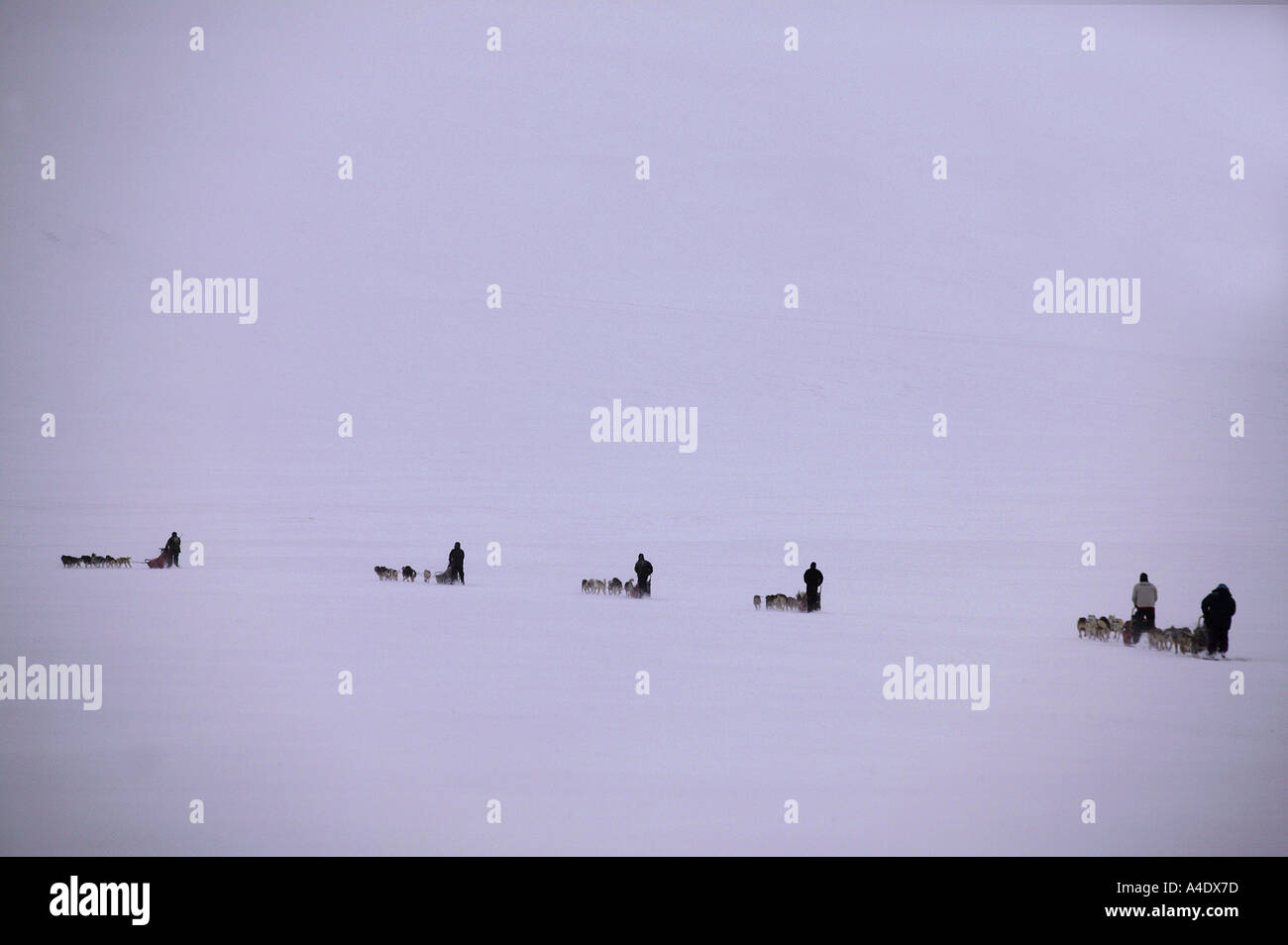 Norwegian sledge hi-res stock photography and images - Alamy