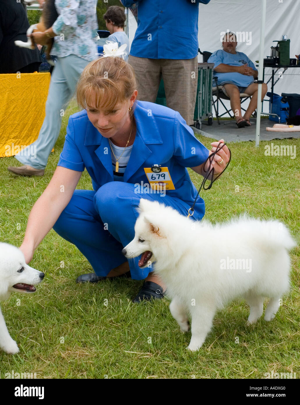 Young dogs await the judging at a regional dog show in Australia. DSC ...