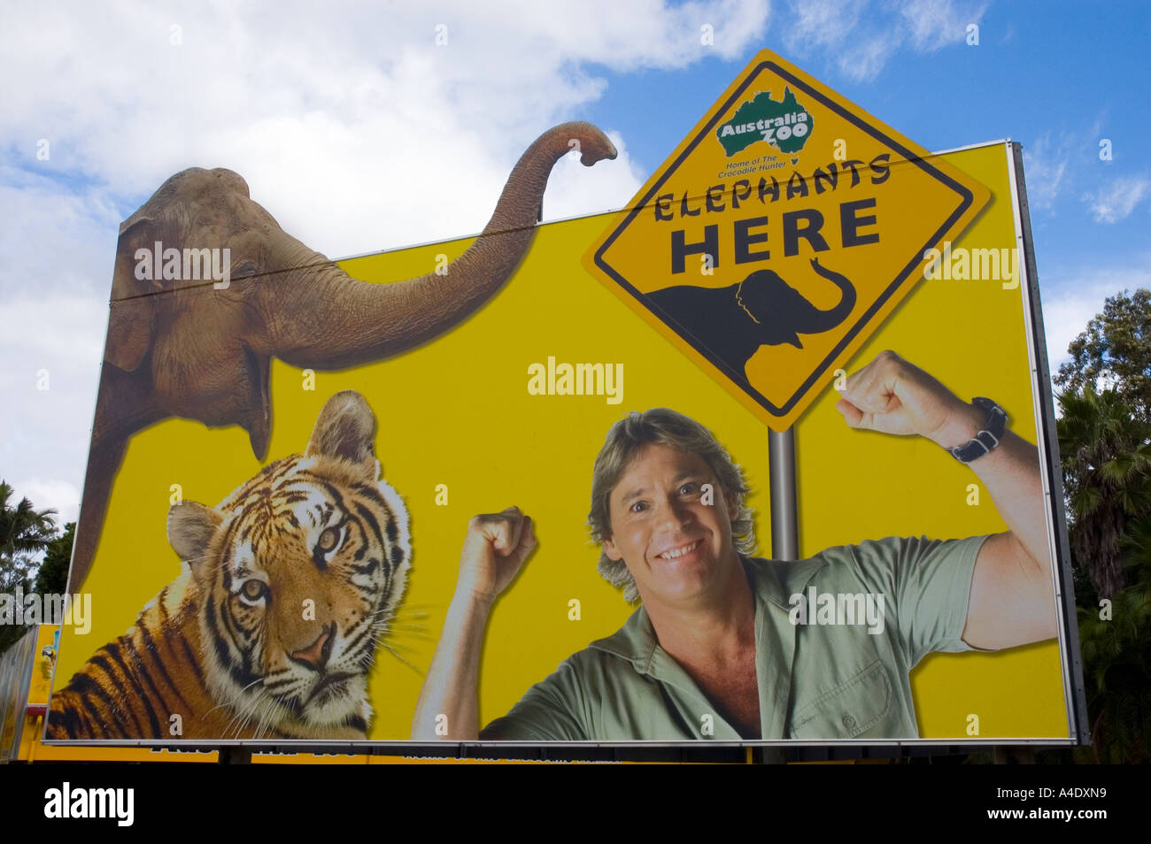 Australian crocodile cutout hi-res stock photography and images - Alamy