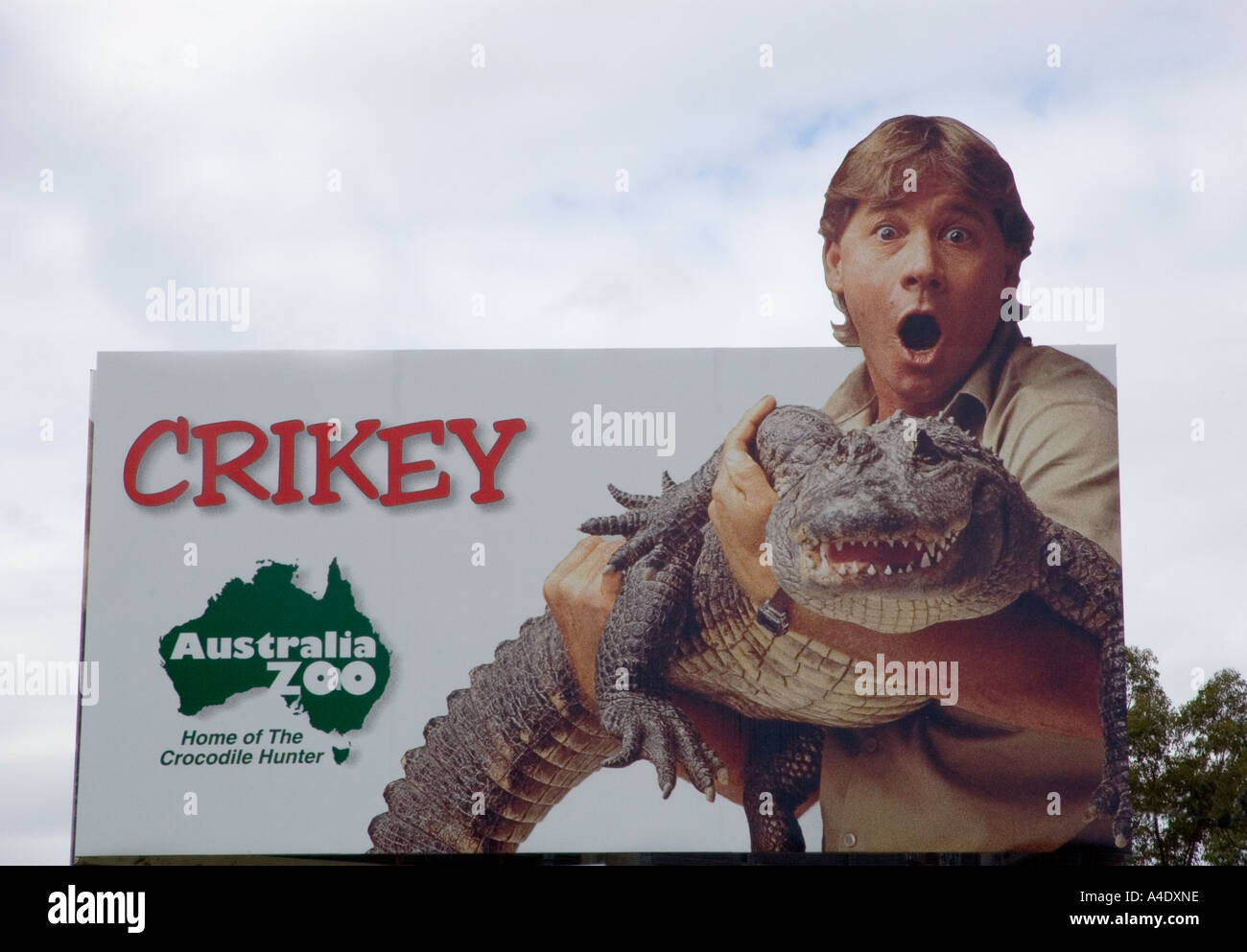 Australian crocodile cutout hi-res stock photography and images - Alamy