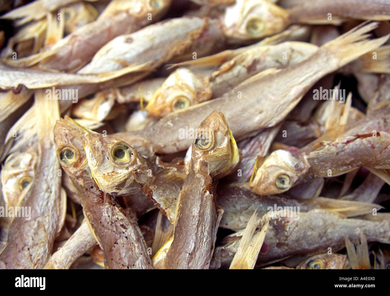 Dried fish for sale at the market at Krabi, southern Thailand. EF8 ...
