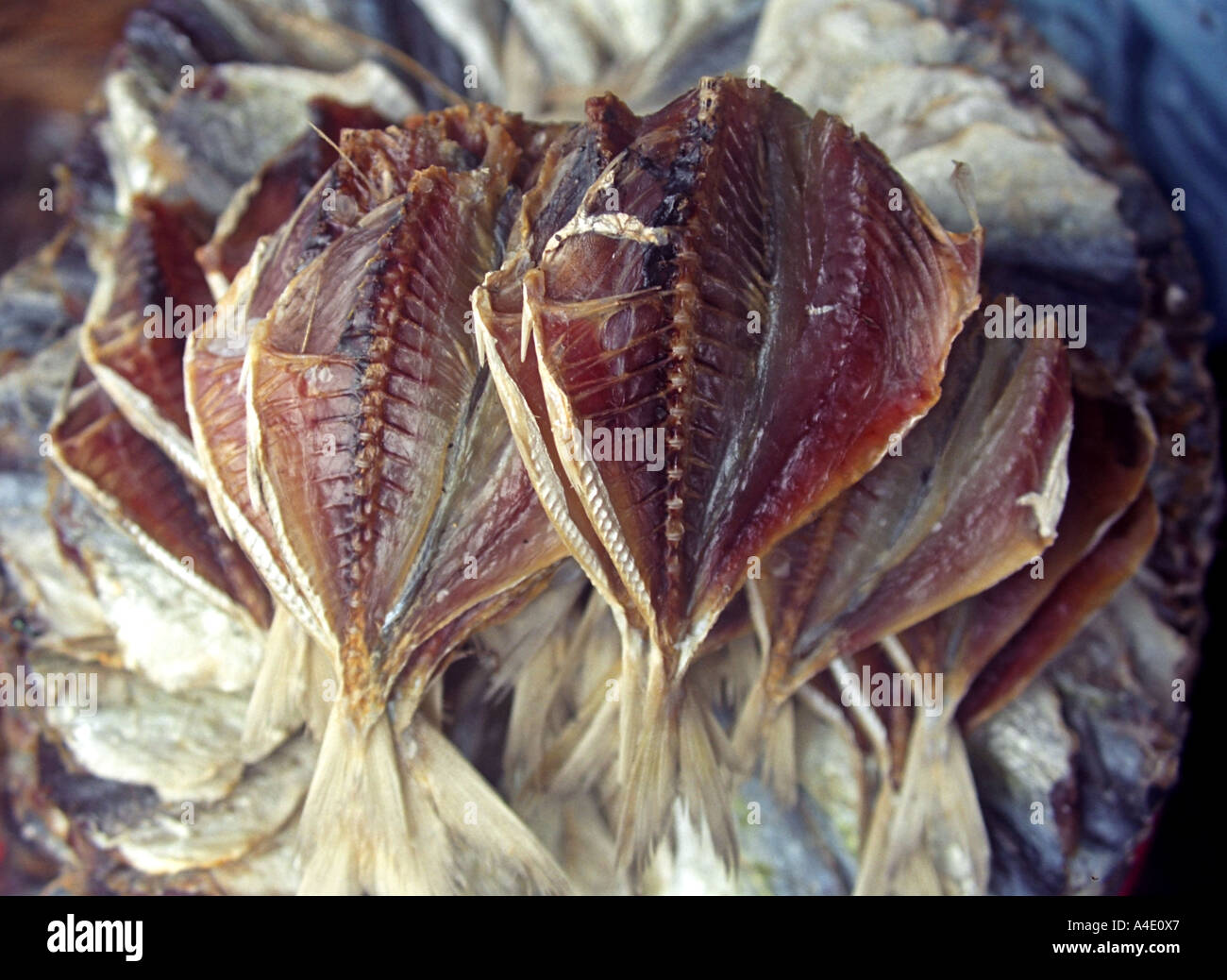 Dried fish for sale at the market at Krabi, southern Thailand. EF9 ...