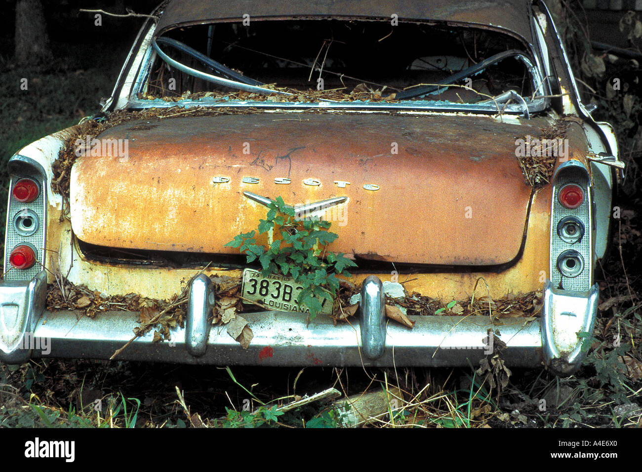 Guzzler High Resolution Stock Photography and Images - Alamy