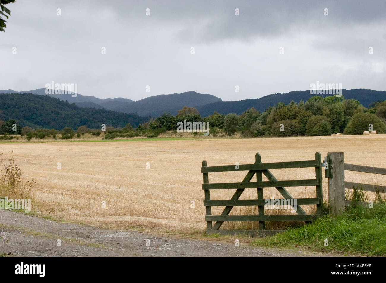 Scottish highland scene Stock Photo - Alamy