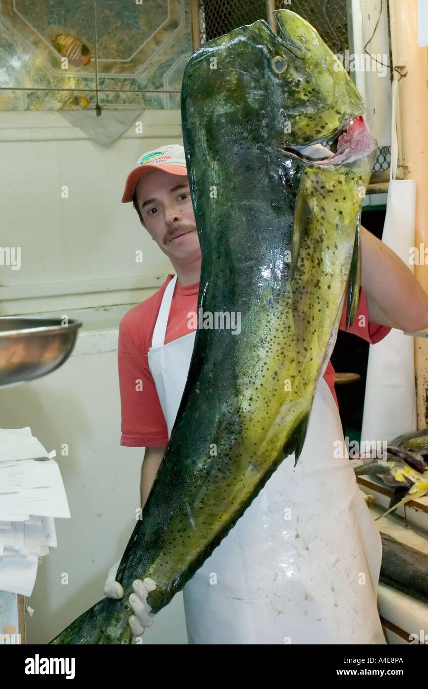 Central market stall san jose hi-res stock photography and images - Alamy