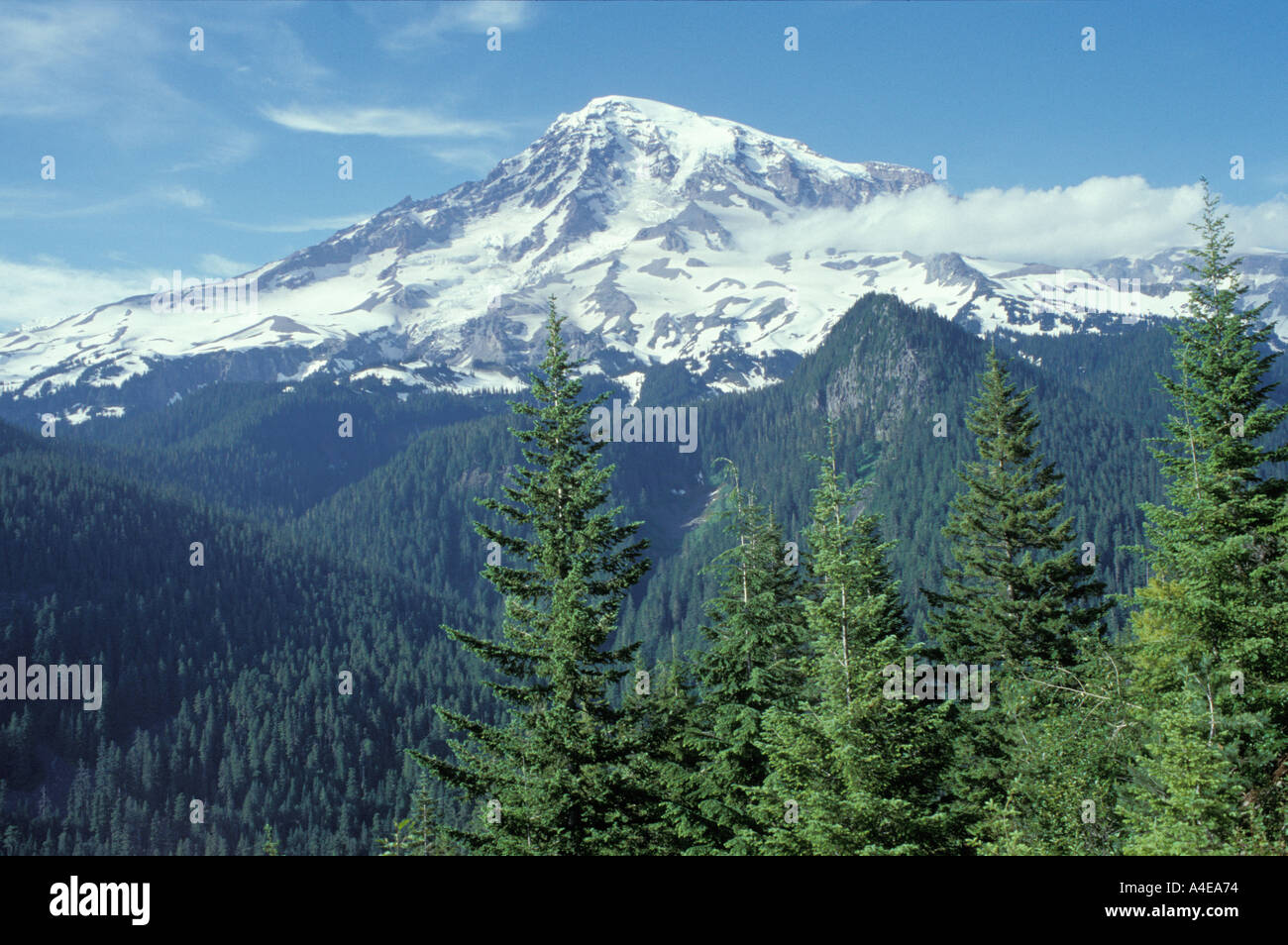 Mount ranier national park hi-res stock photography and images - Alamy
