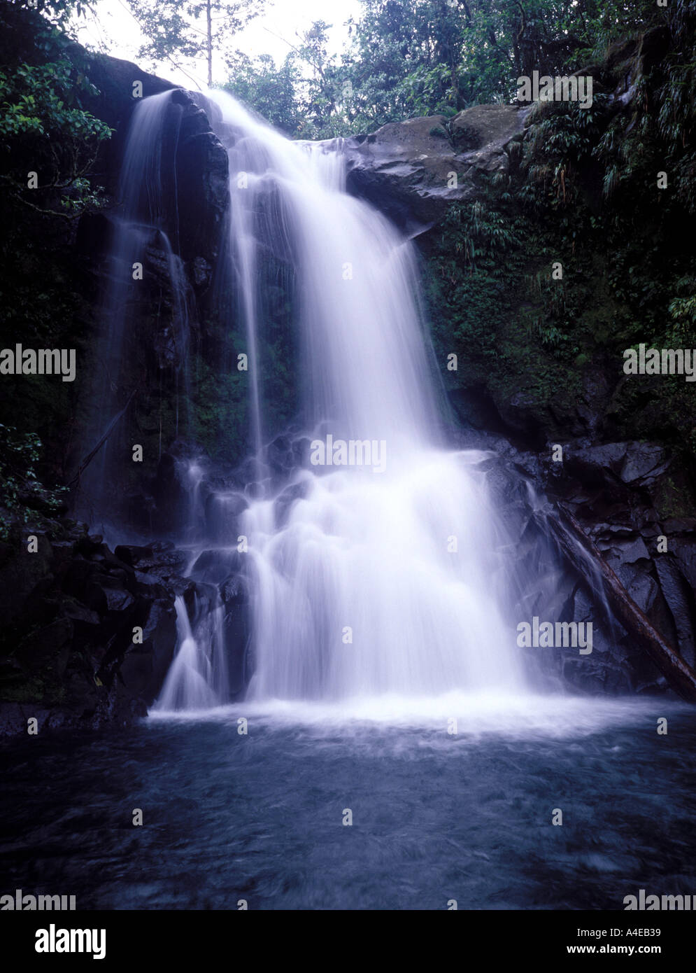 Water Fall Rara Avis Rain Forest Costa Rica Stock Photo - Alamy