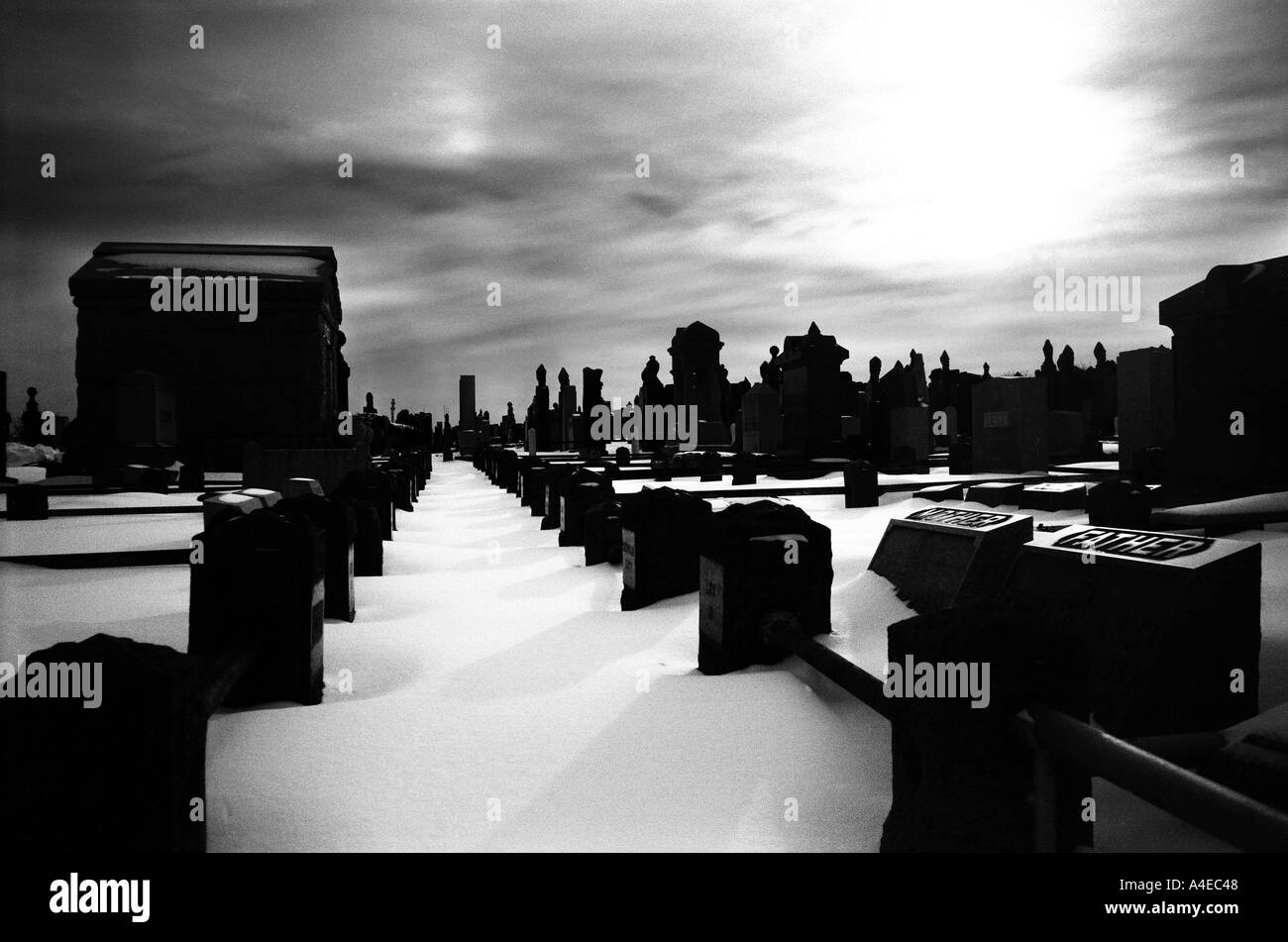 Queens new york cemetery Black and White Stock Photos & Images - Alamy