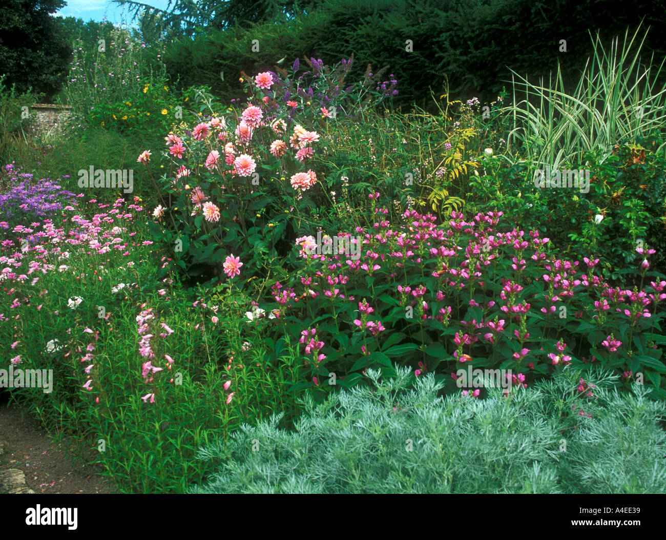 Delicate border of vibrant hi-res stock photography and images - Alamy