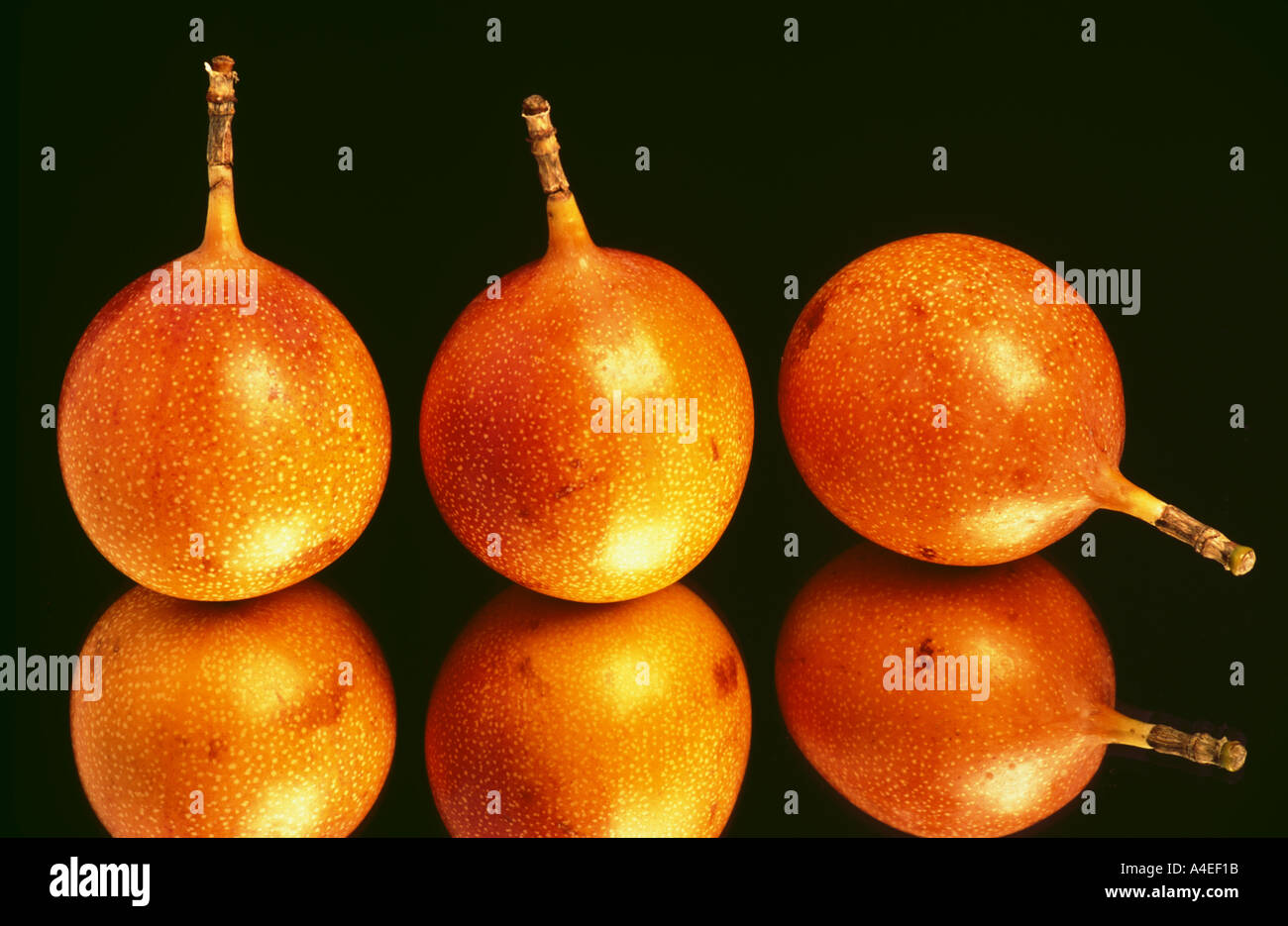 Tropical fruits Grenadille Passiflora ligularis Stock Photo - Alamy