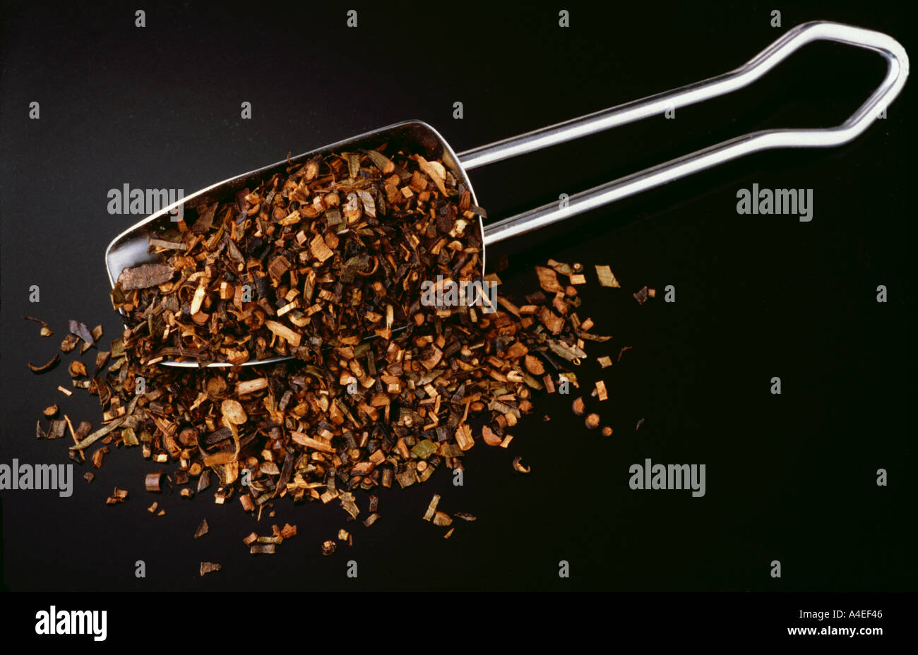 Tea Honeybush tea South Africa Stock Photo - Alamy