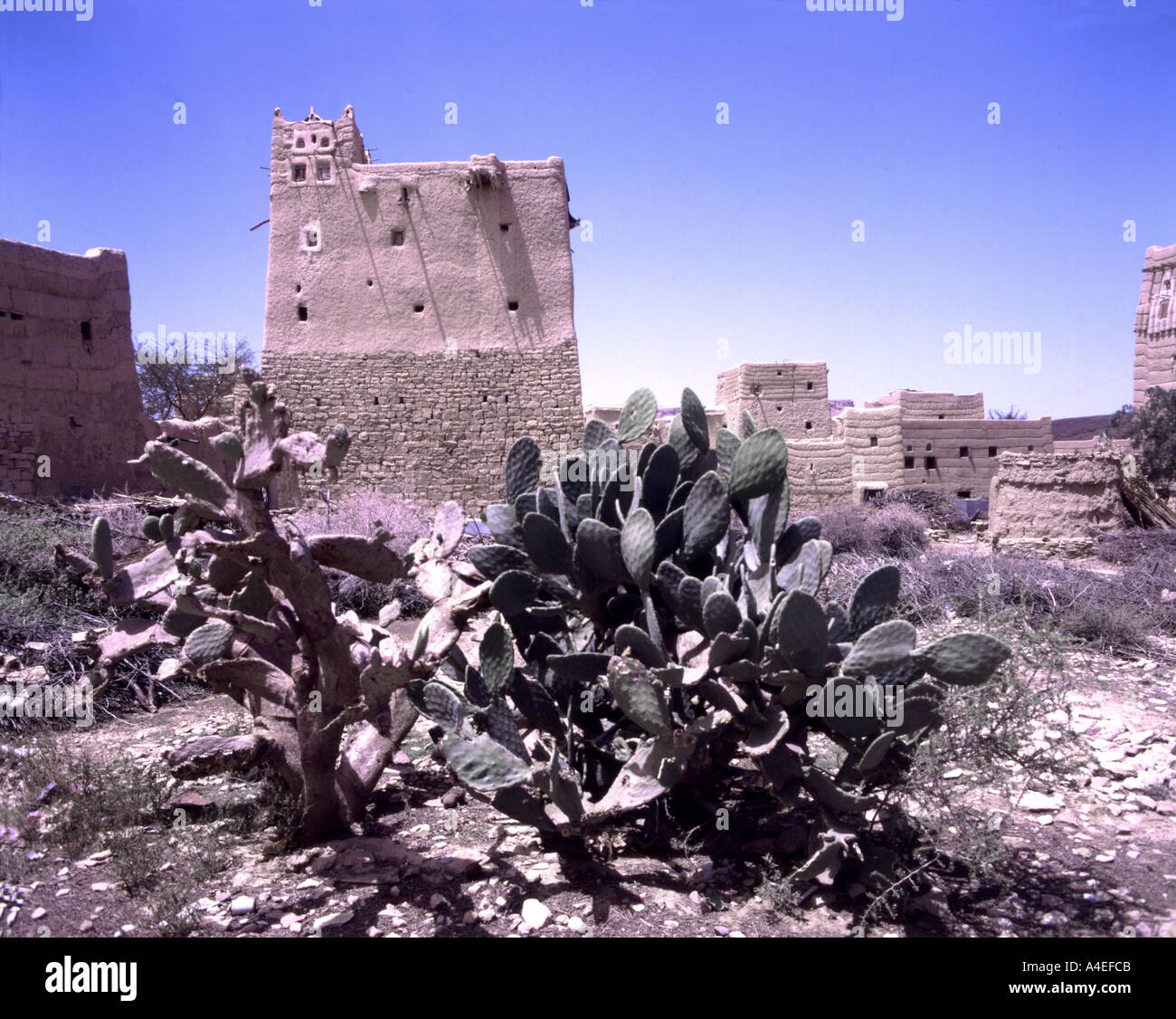 Jemen hi-res stock photography and images - Alamy