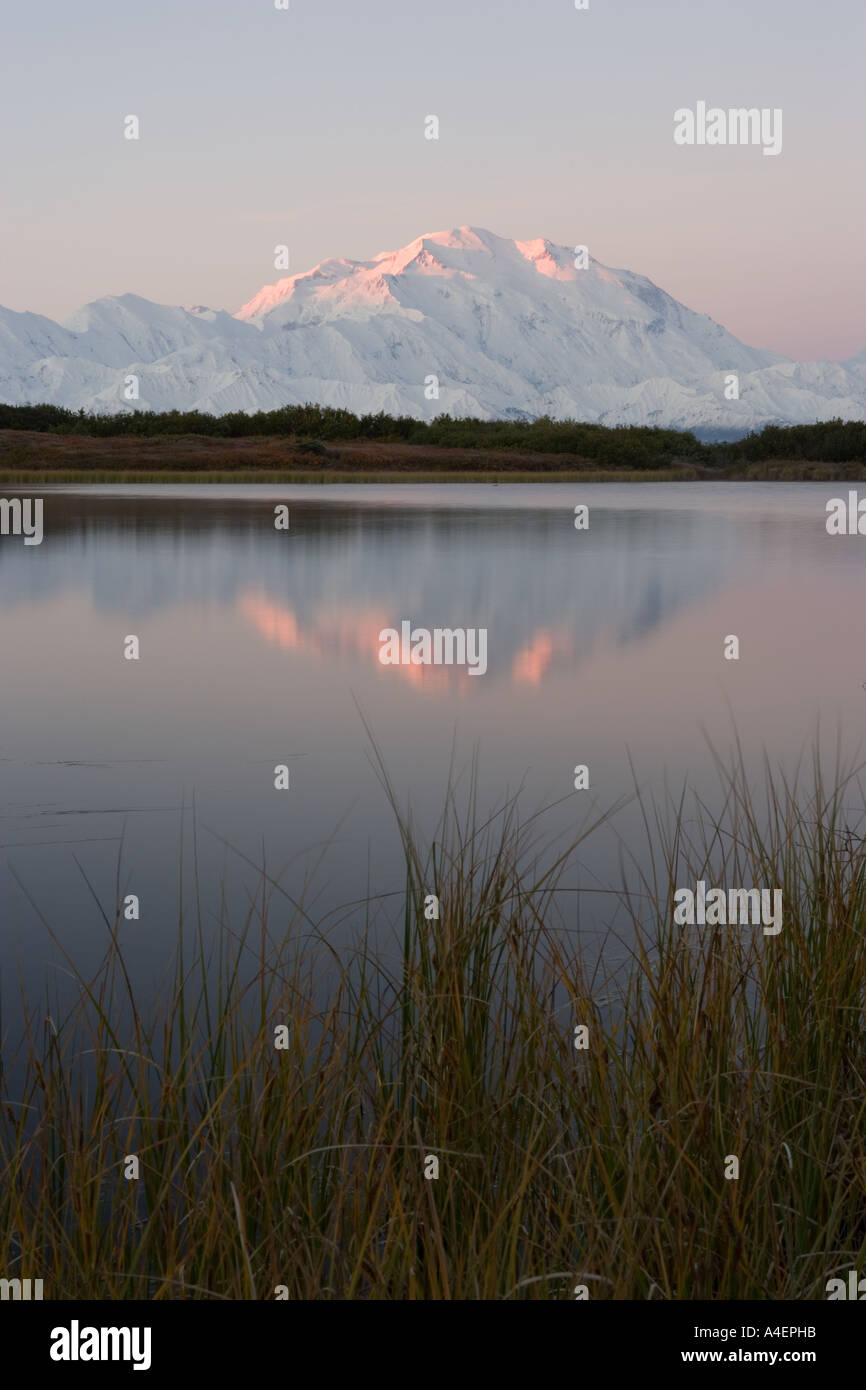 alaska denali mt mckinley in denali national park reflection pond and ...