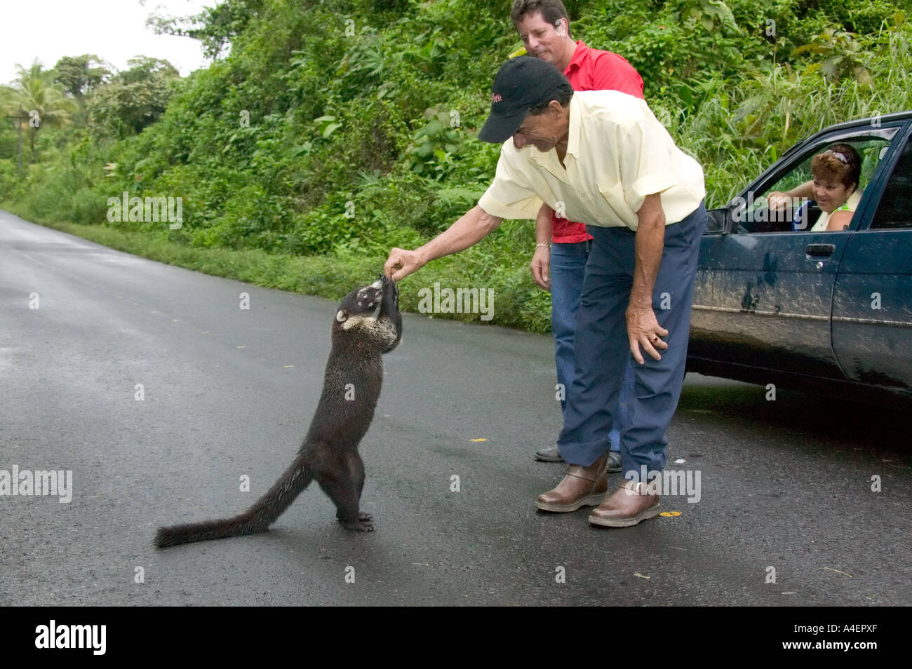 Arenal hi-res stock photography and images - Alamy