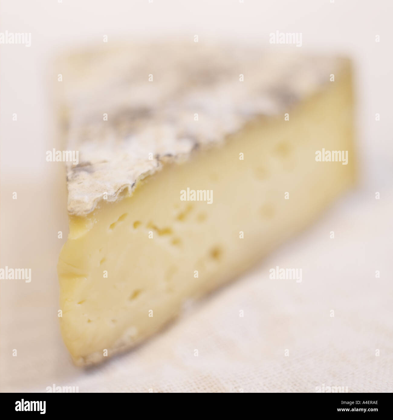 Christiana Brie Artisanal handmade cowsmilk cheese from Amish country ...
