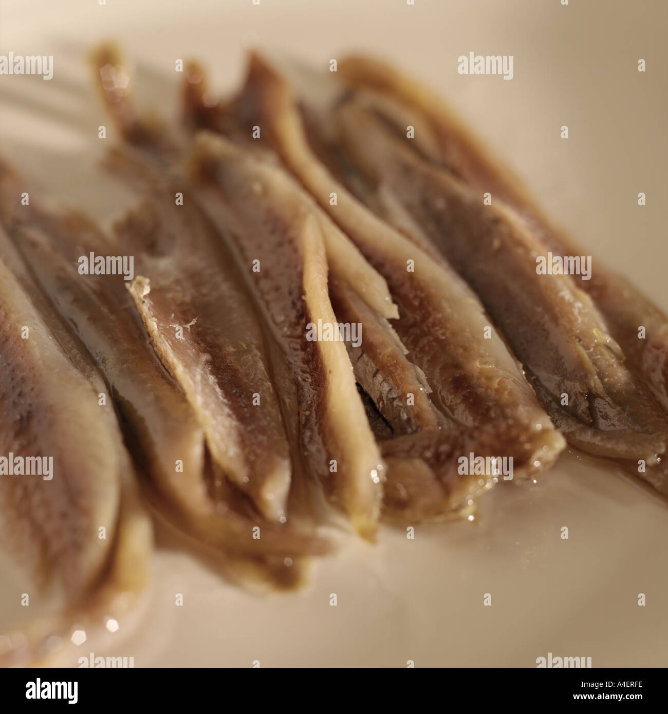 Anchovy fillets packed in olive oil Stock Photo - Alamy