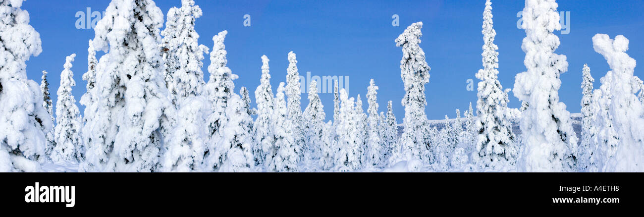 alaska, eureka pass on glenn highway, winter panorama of snow plastered ...