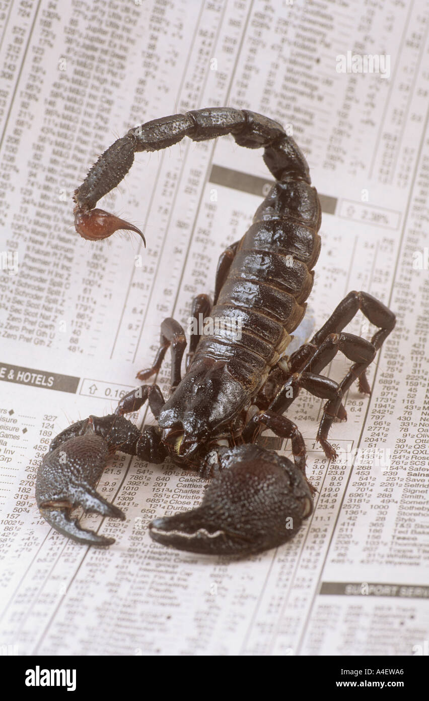 Stung by scorpion hi-res stock photography and images - Alamy