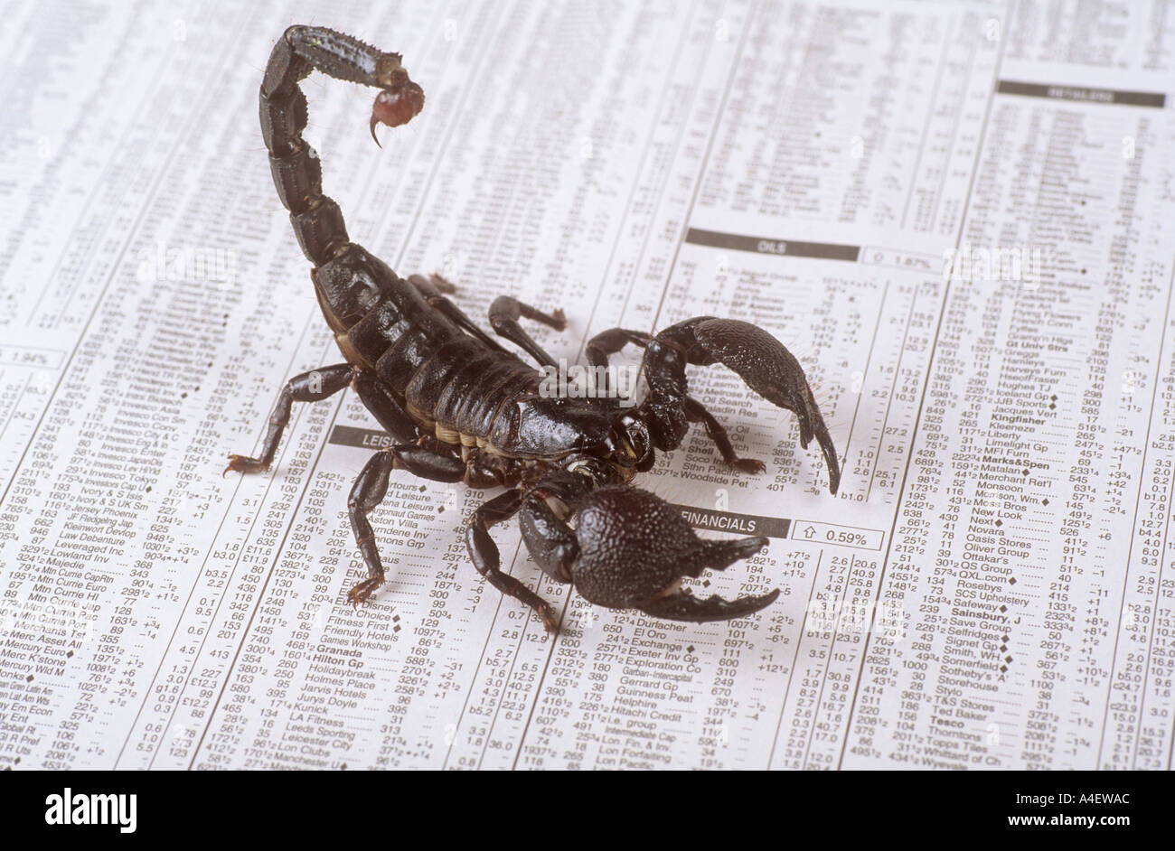 Stung by scorpion hi-res stock photography and images - Alamy
