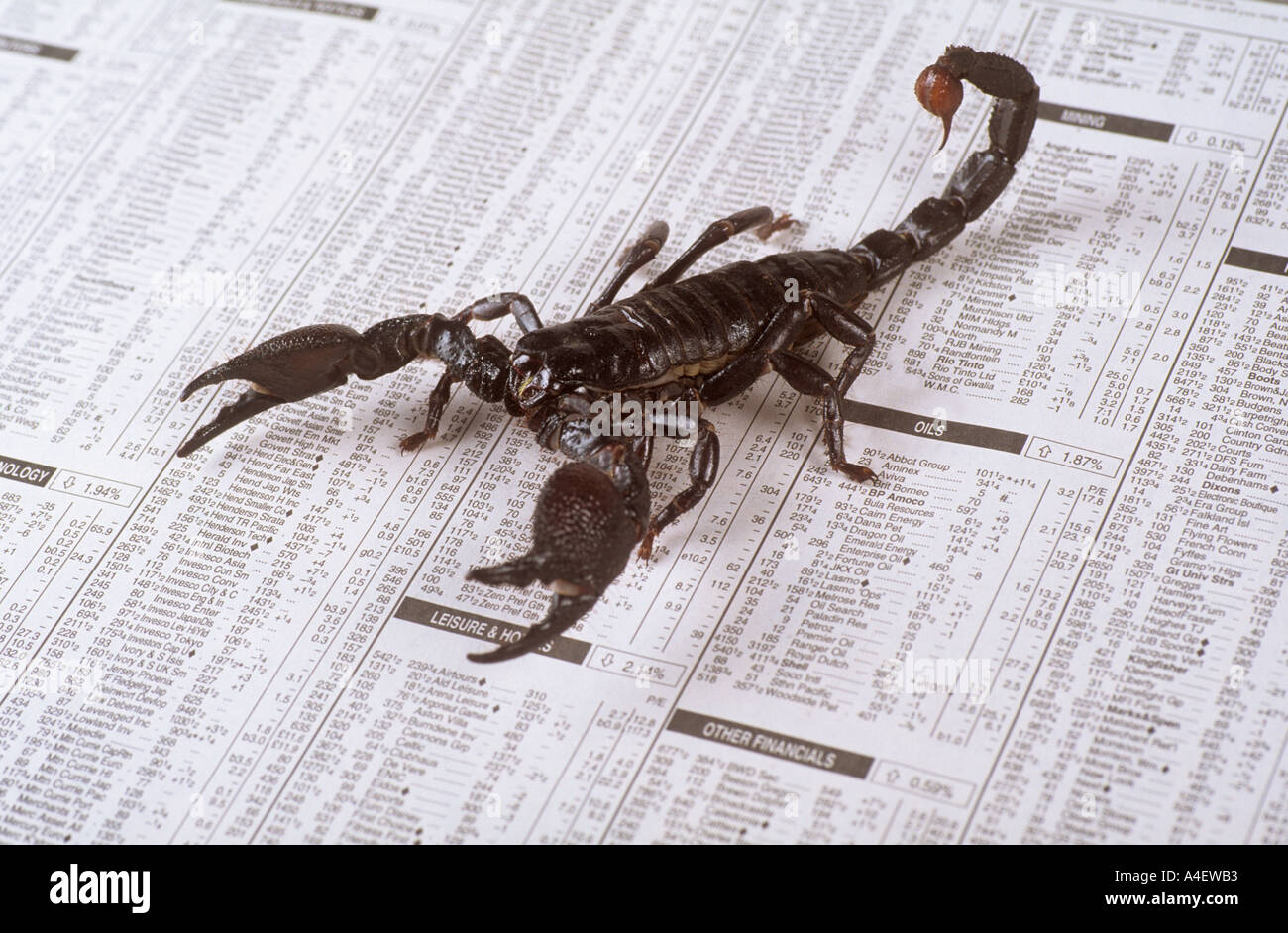 Scorpion on financial listings Stock Photo - Alamy