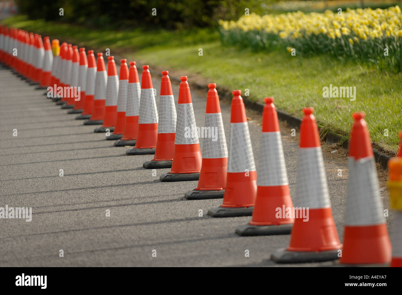 Red cones on a row hi-res stock photography and images - Alamy
