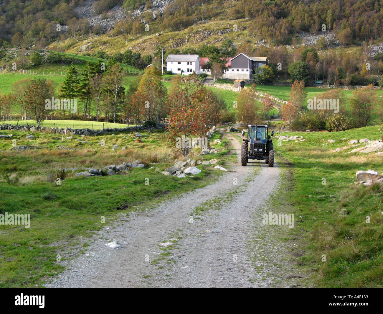 Farm in western Norway Stock Photo - Alamy