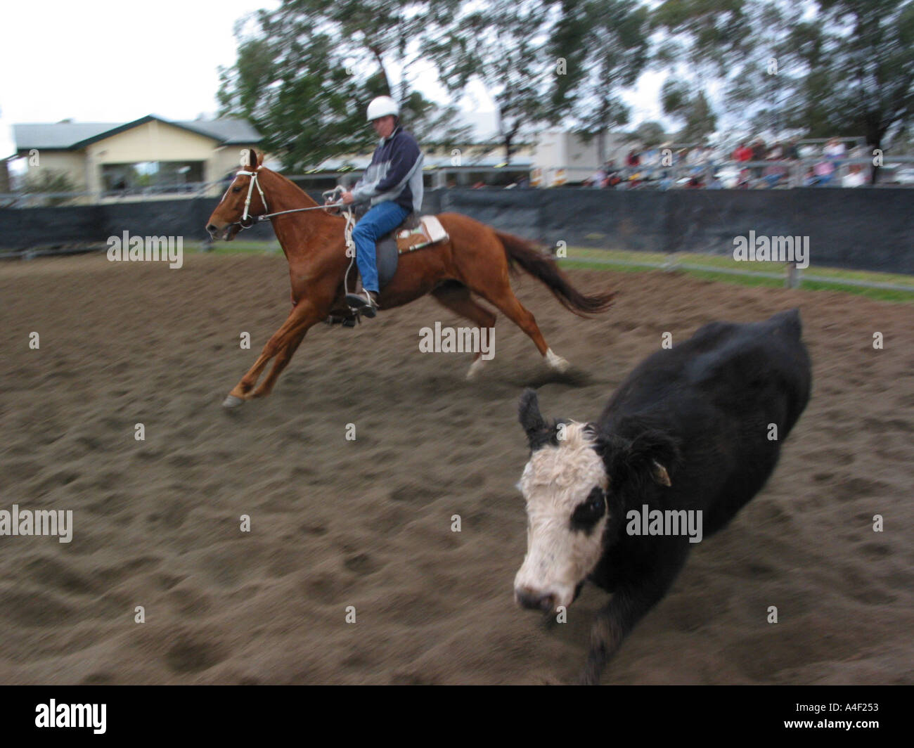 Millmerran hi-res stock photography and images - Alamy