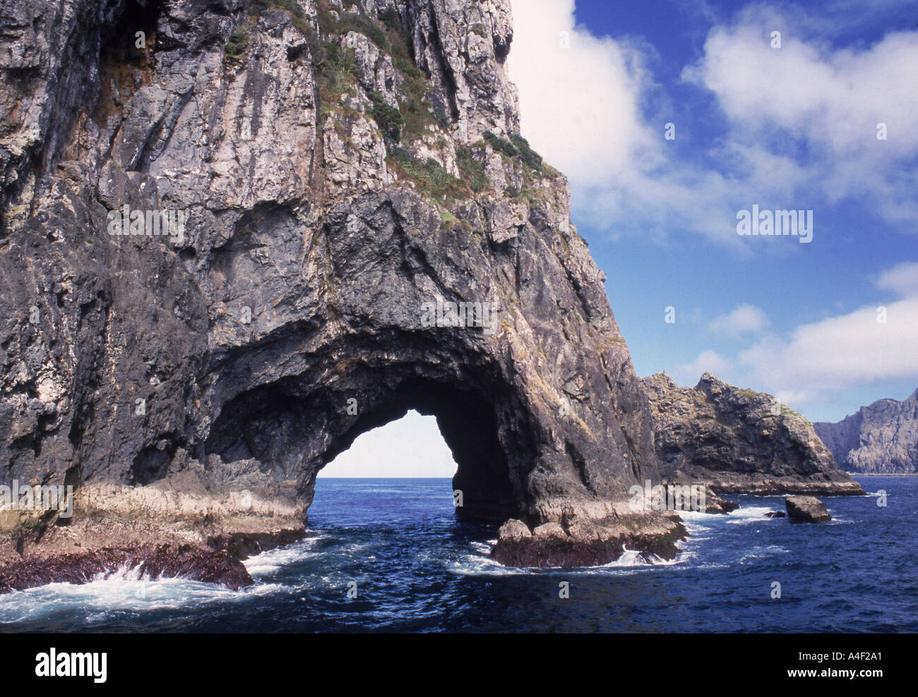 The Hole in the Rock Bay of Islands North Island New Zealand Stock ...
