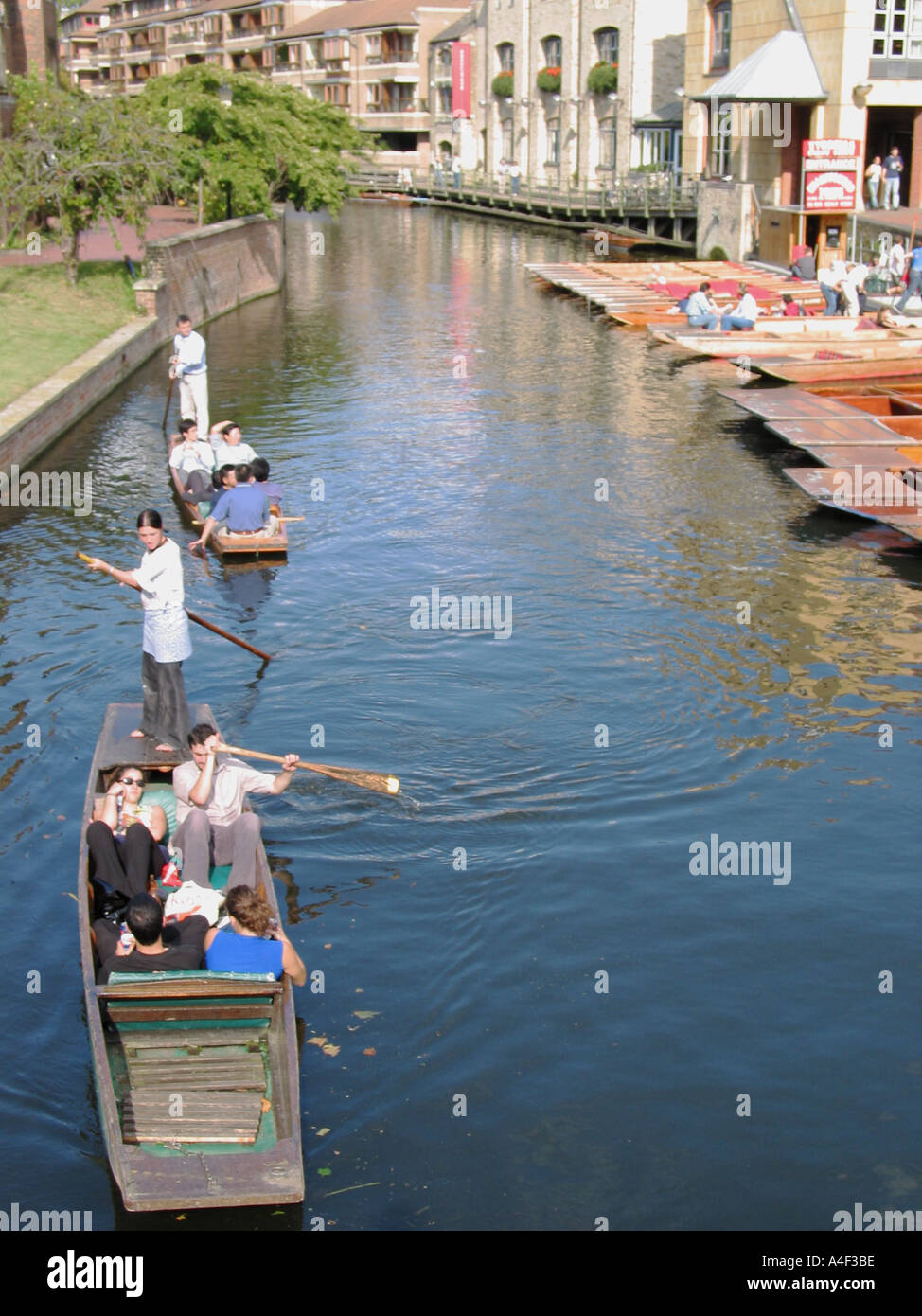 Traditional Punting along the River Cam at Magdalene Bridge Cambridge ...