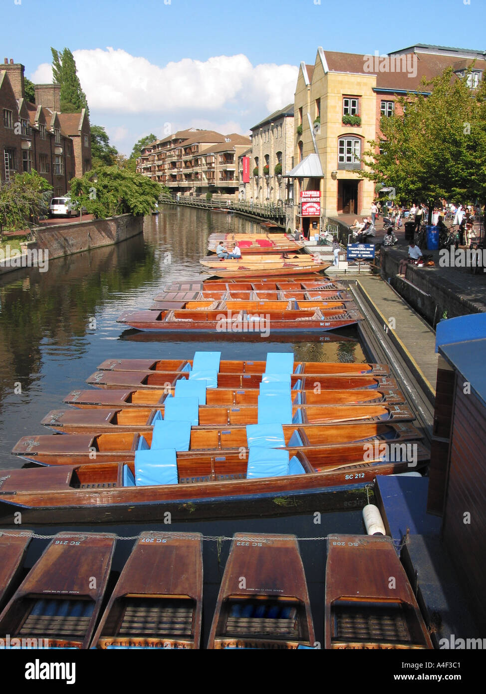 Traditional Punts along the River Cam at Magdalene Bridge Cambridge ...