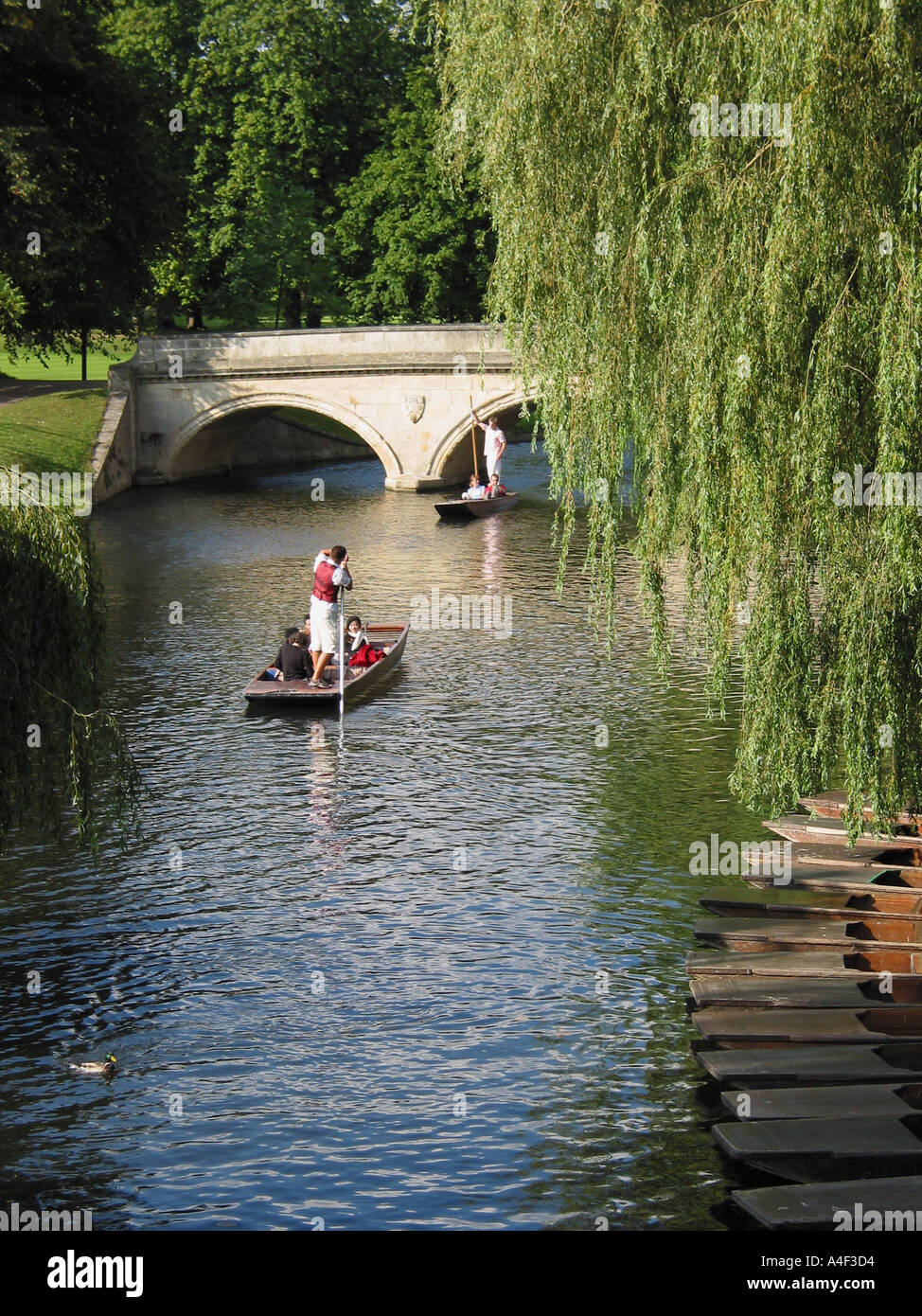 Punting on the River Cam towards Trinity College Bridge, Cambridge ...