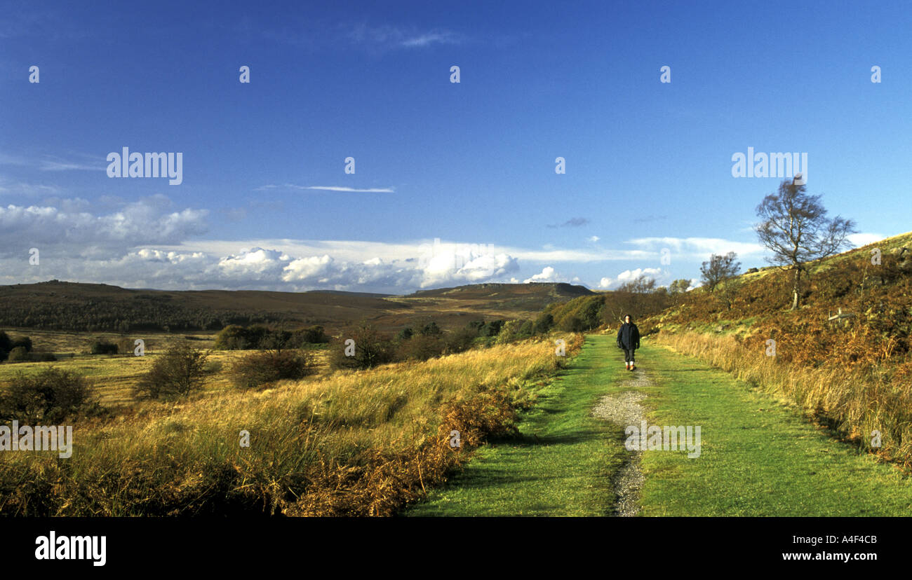 TRACKWAY LONGSHAW COUNTRY PARK PEAK DISTRICT NATIONAL PARK DERBYSHIRE ...