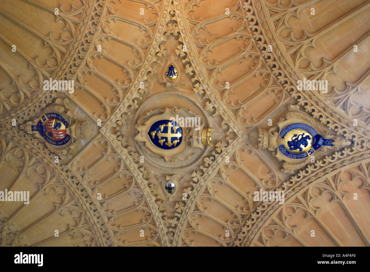 Fan vaulted ceiling stonework University College Oxford Stock Photo - Alamy