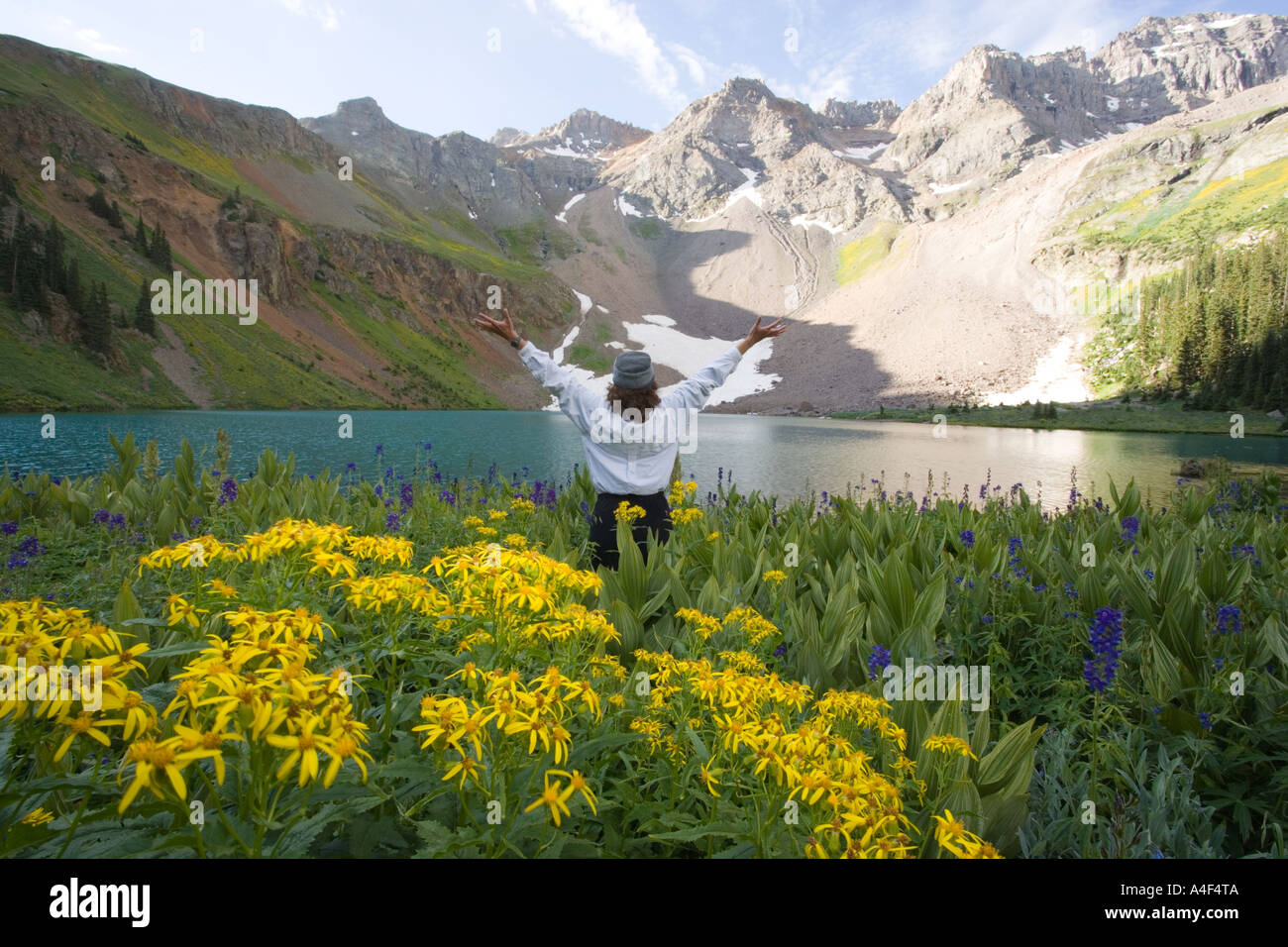 Colorado san juan mountains blue lakes woman in wildflowers in front of ...