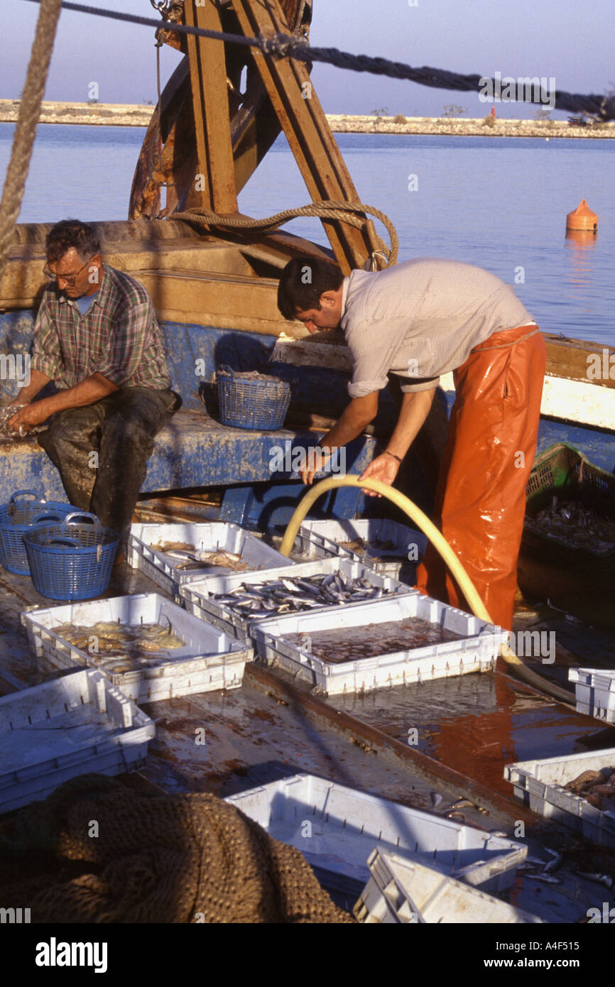 Sorting the Catch Stock Photo - Alamy