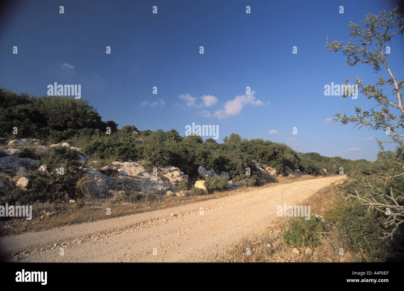 Hile hi-res stock photography and images - Alamy