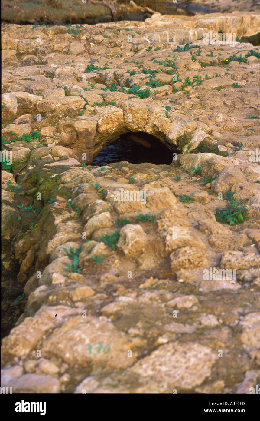 stone stones way path pavement Stock Photo - Alamy