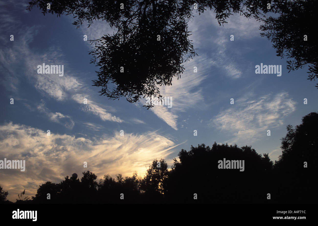 cirrus fibratus sunset sky cloud Stock Photo - Alamy