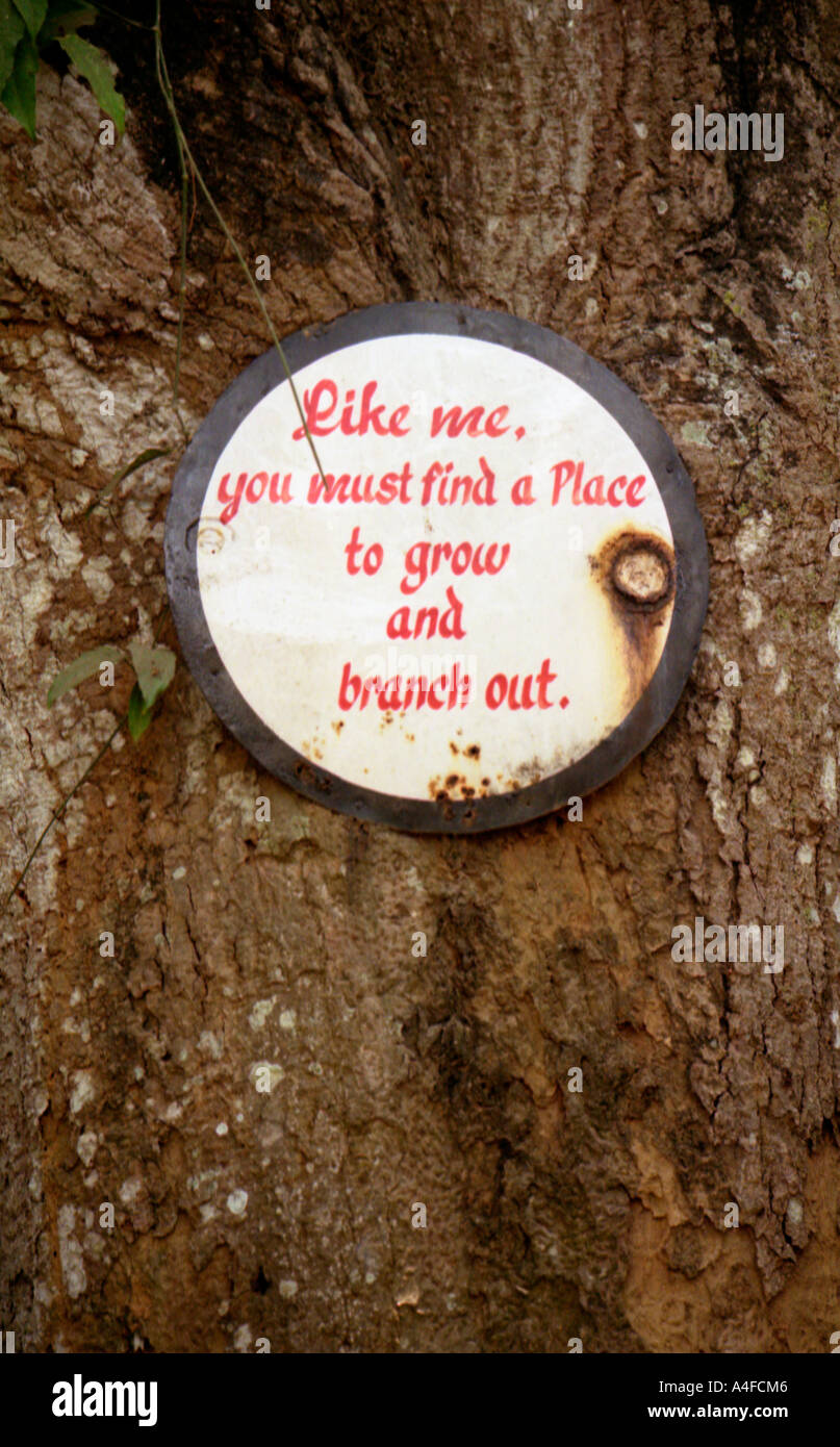Sign on a tree at Periyar Kerala, India Stock Photo - Alamy