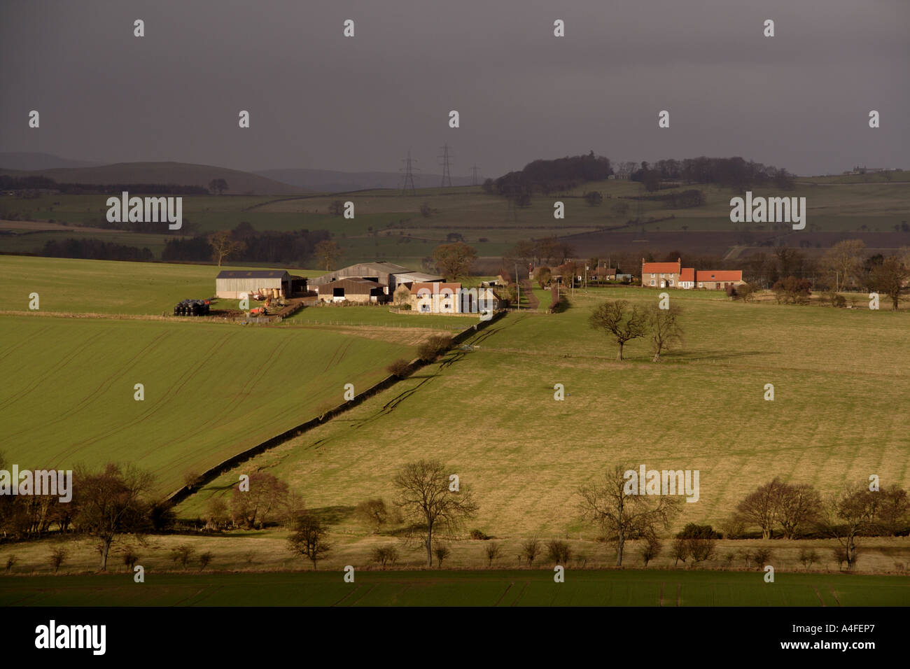 Whittingham Farm - Stormy day Stock Photo - Alamy