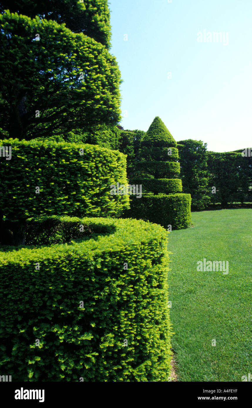 Shrub shrubs topiary hi-res stock photography and images - Alamy