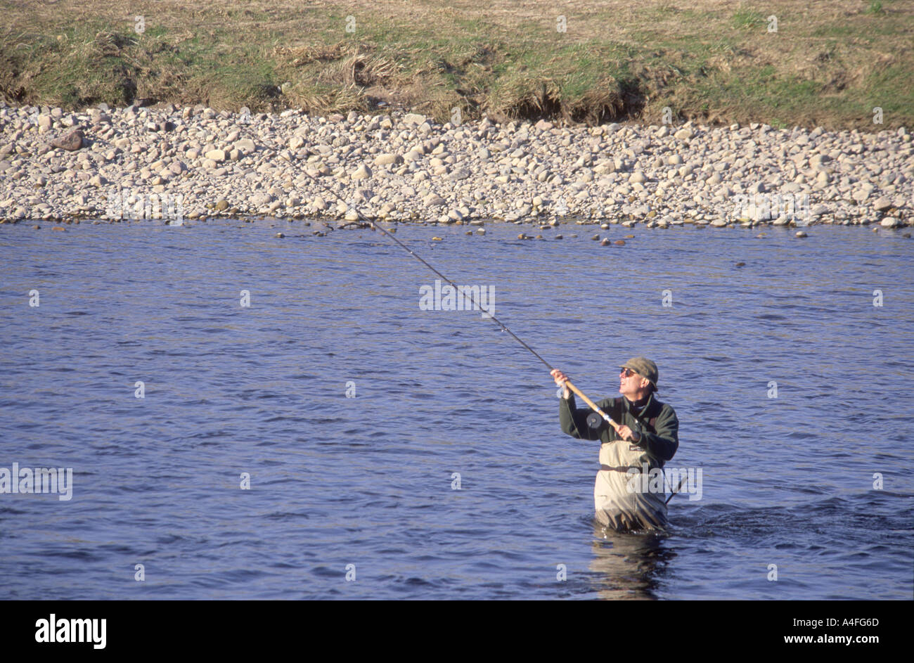 Salmon Angler River Dee Scotland Stock Photo - Alamy