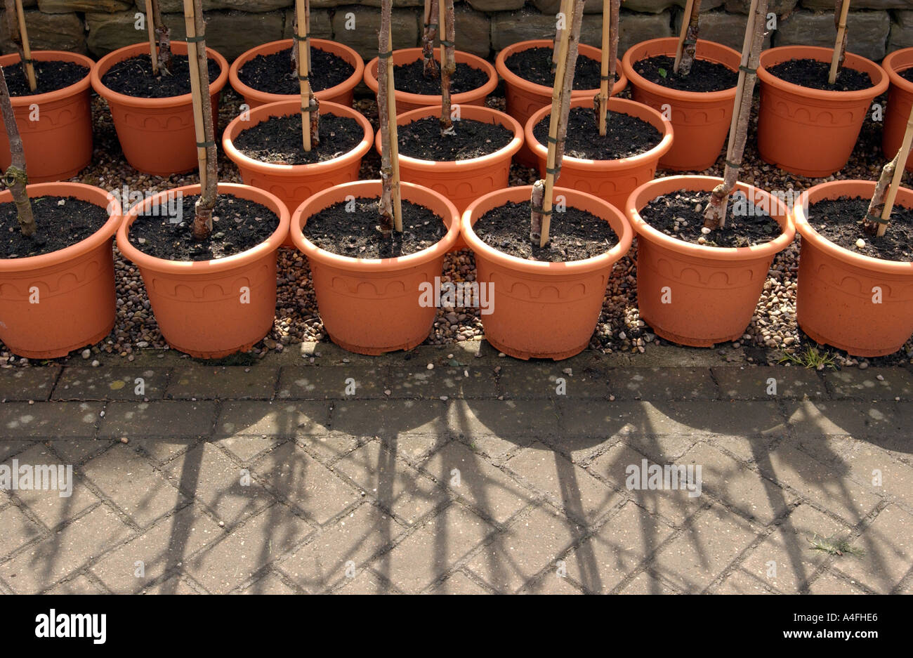 Rows of plant pots making a horizontal pattren Stock Photo - Alamy