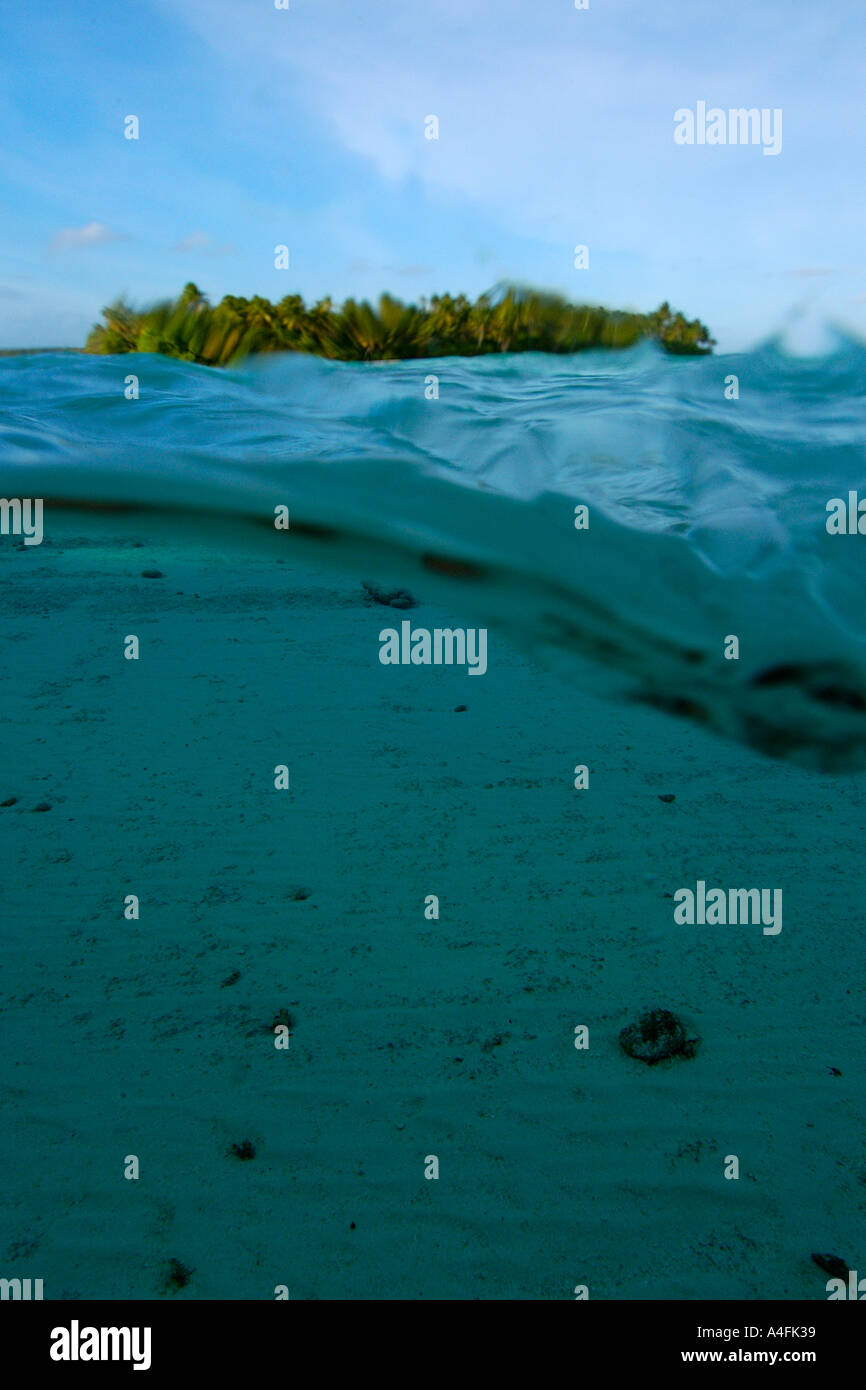 Over under image sandy bottom and trees at Majikin Island Namu atoll ...