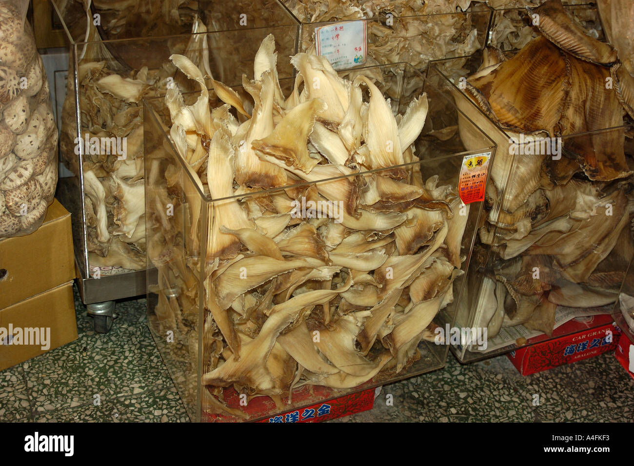 Dried shark fins for sale in traditional chinese medicine store Taipei ...