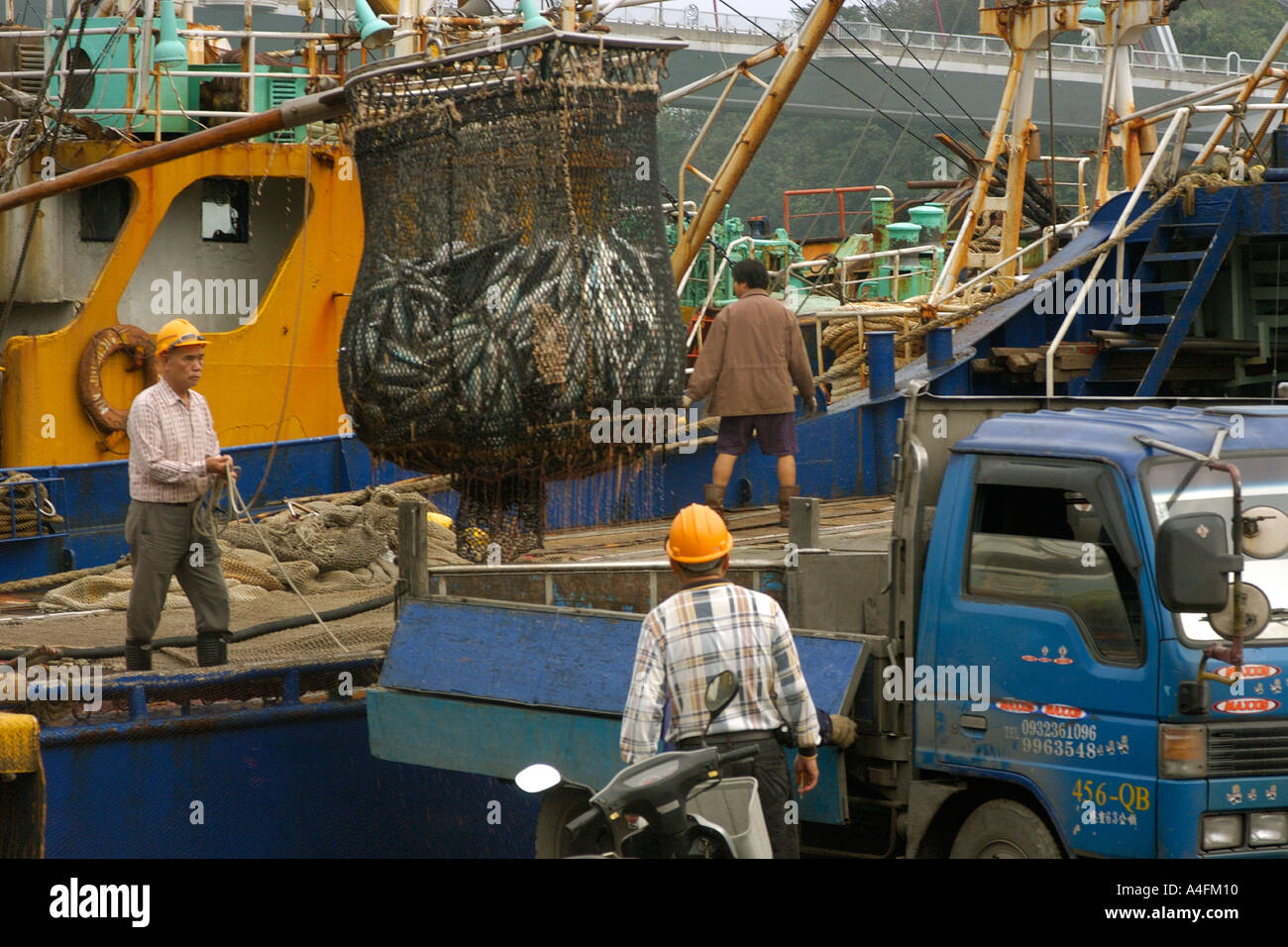 Unloading of fish at the port of Suao Taiwan Republic of China Stock ...