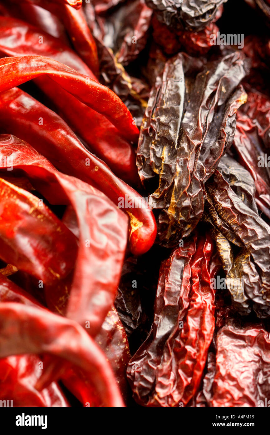 Dried red chilli peppers hanging on stalks Stock Photo - Alamy