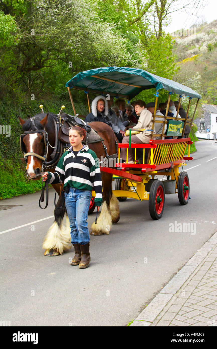 Horse bus hi-res stock photography and images - Alamy