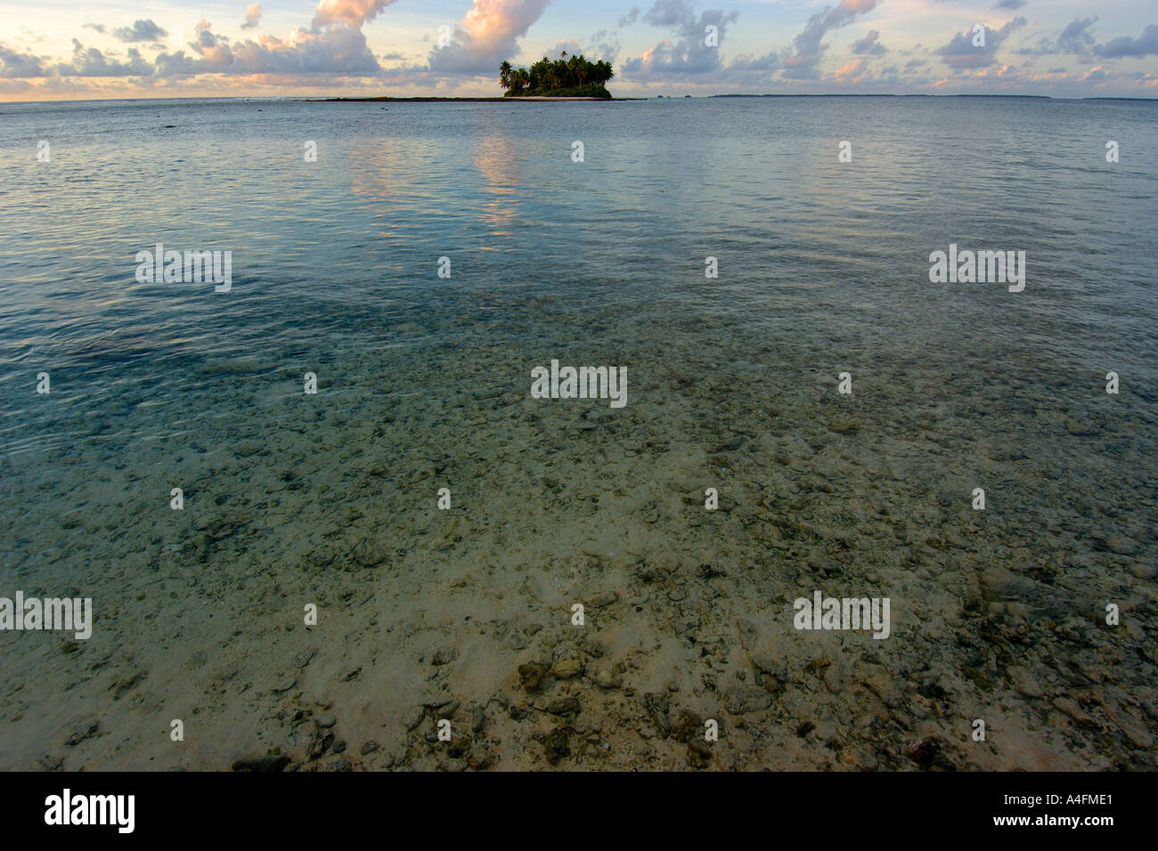 Coconut tree prison hi-res stock photography and images - Alamy